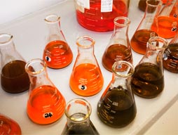 Science, STEM & Innovation